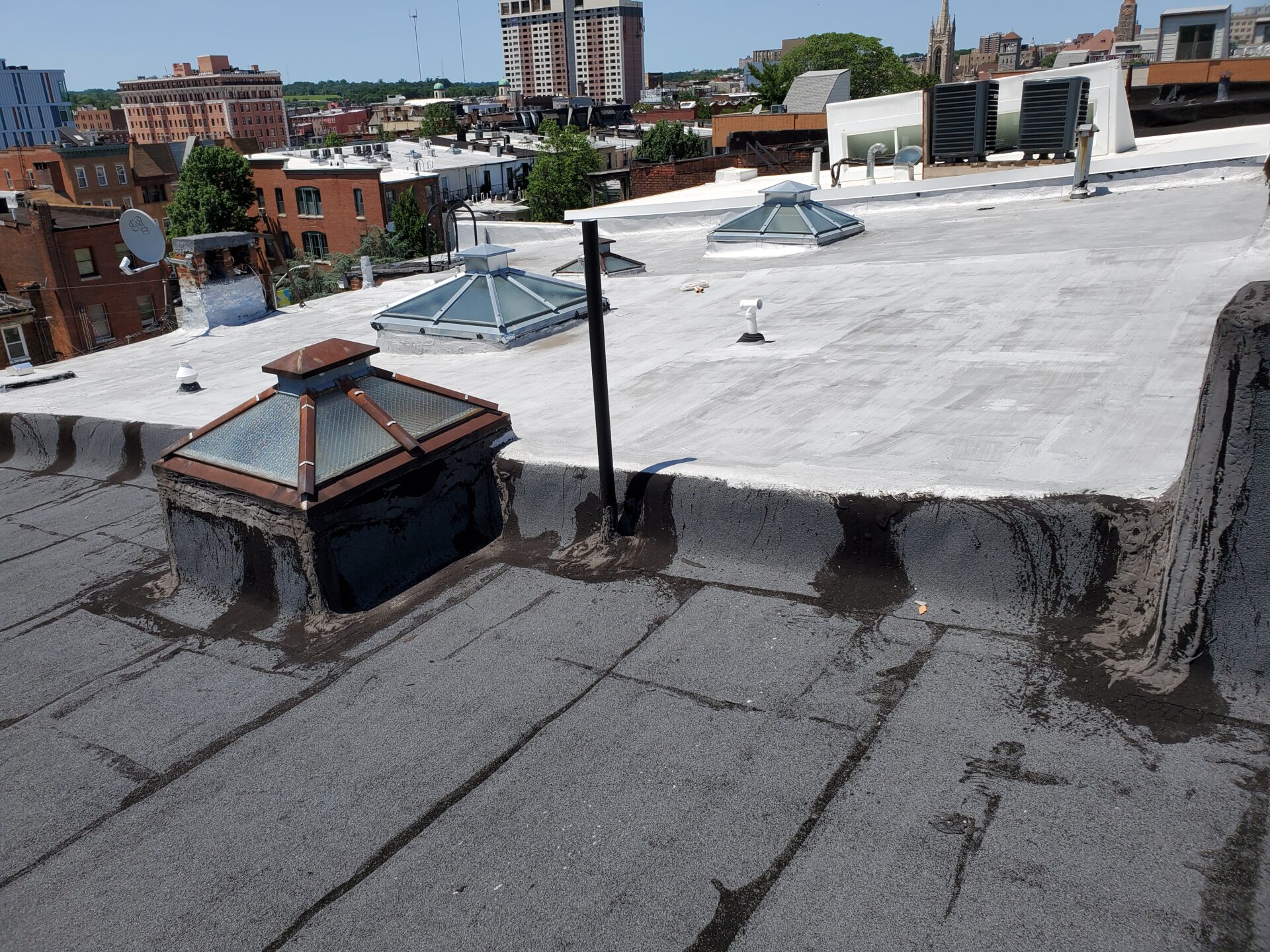 Discover Skylight Preservation in Historic Buildings