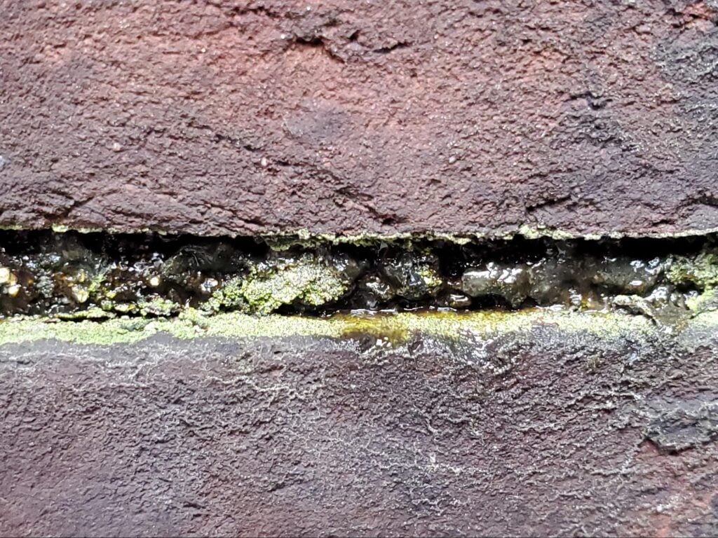 Insidious Damage in a Historic Brick Wall
